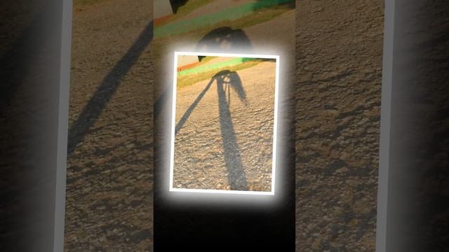 Мы и наши тени