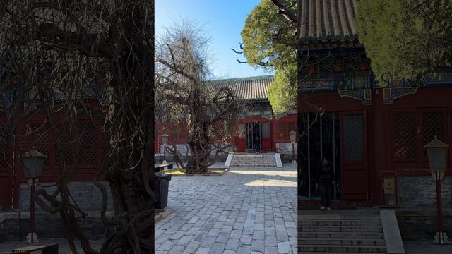 Китай, Пекин, Храм Конфуция