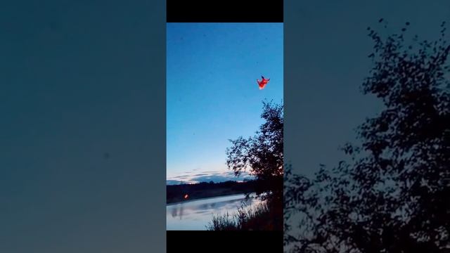 Птица из пепла