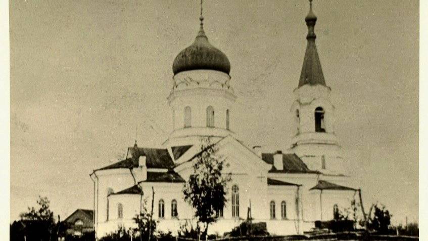 Самро Доложское урочище