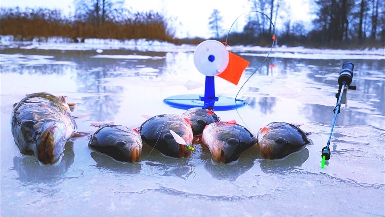 ЖЕРЛИЦЫ и СПИННИНГ с МАРОПЕДКОЙ!!! Так закрыли или не закрыли подлёдную рыбалку!?