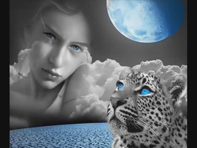 Stive Morgan - Воплощение мечтаний (Making Dreams)