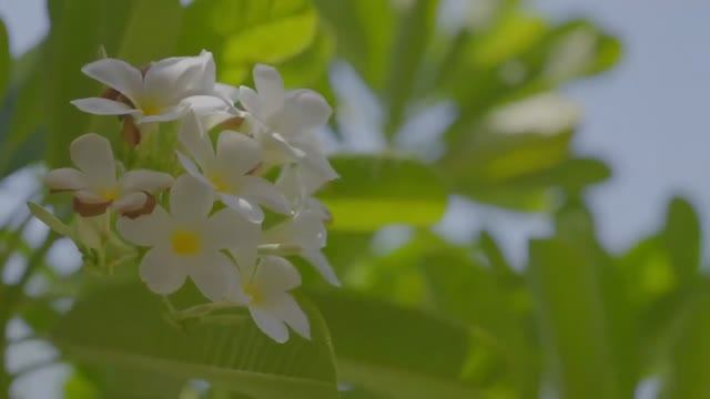 uHouse： оазис в сердце пустыни