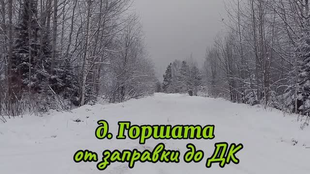 Деревня Горшата, от заправки до Дома Культуры.mp4