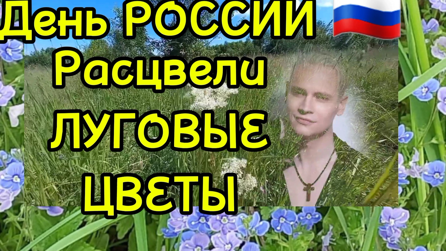 ДЕНЬ РОССИИ. Луговые цветы России. Цвети моя Россия, цвети и процветай.