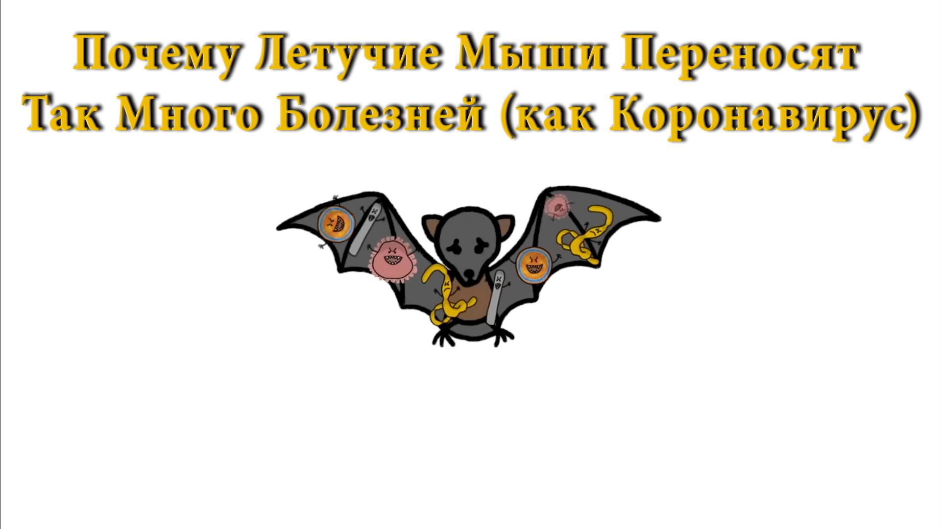 Почему Летучие Мыши Переносят Так Много Болезней (как Коронавирус)