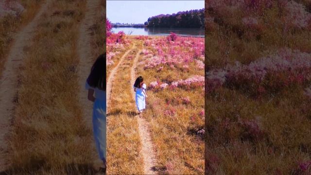 NIKARU - Держи меня. На всех музыкальных площадках 💛