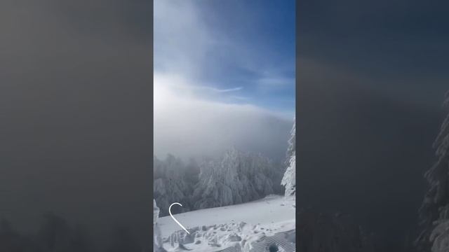 зимняя сказка