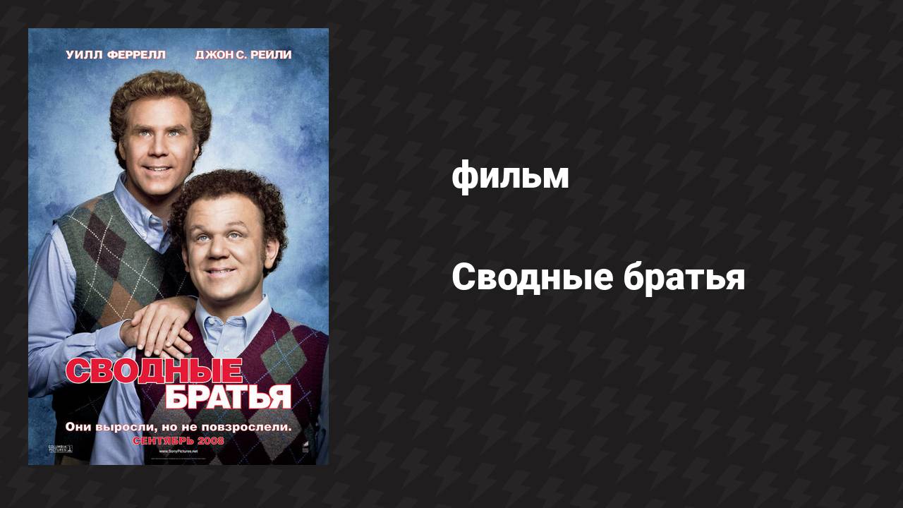 Сводные братья (фильм, 2008)