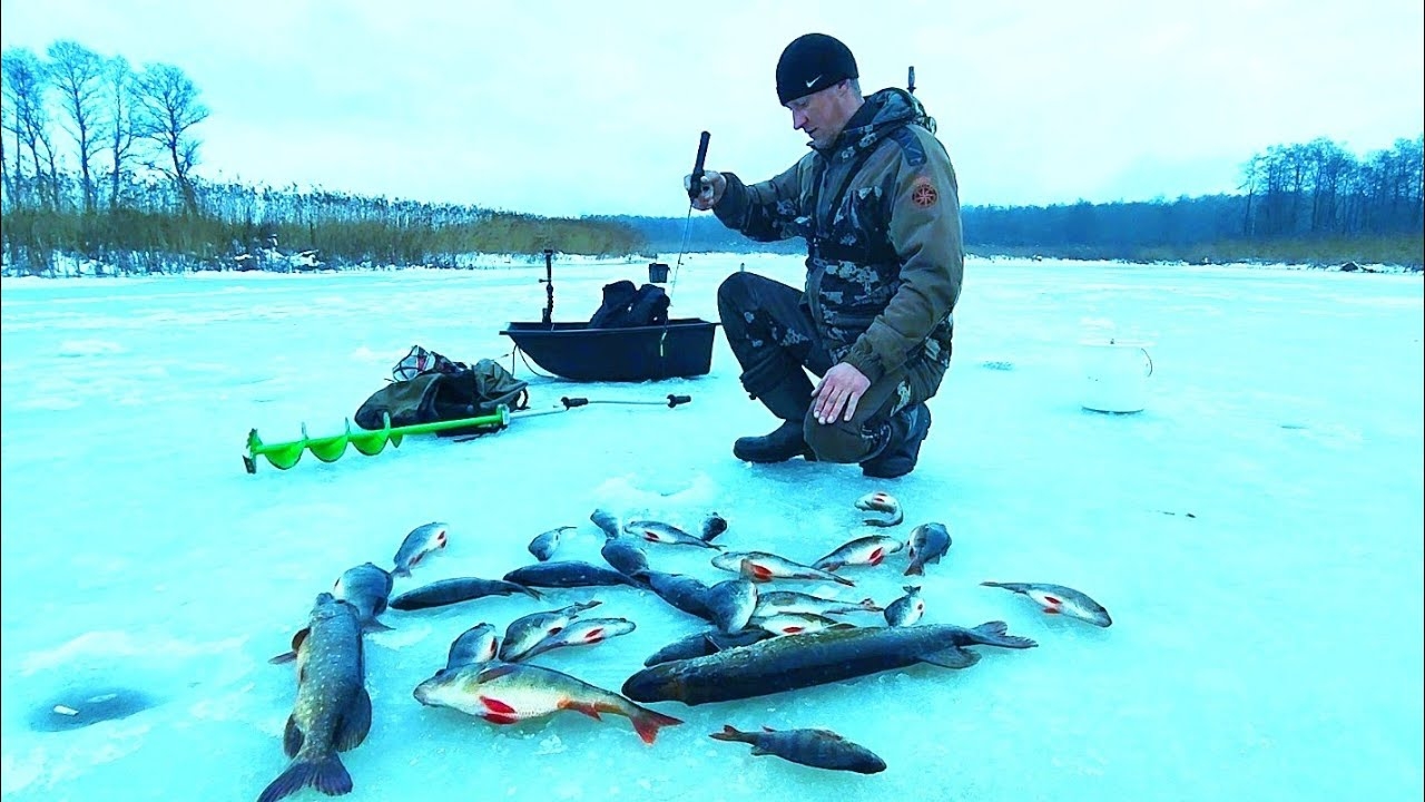 Щука была на втором плане! А вот цель была найти ПОЛОСАТЫХ КАБАНОВ!!!