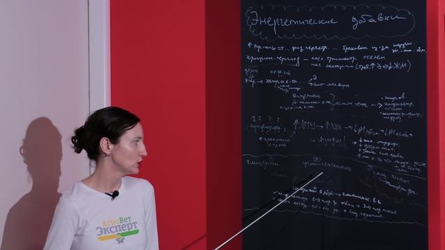 Энергетические кормовые добавки для молочных коров