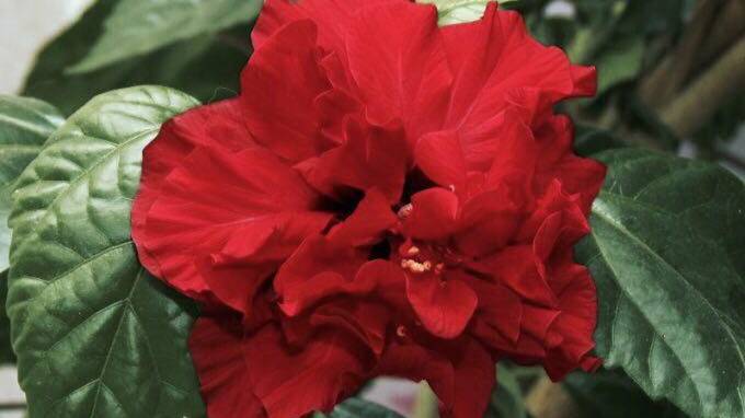 ЧУДЕСА БЫВАЮТ.