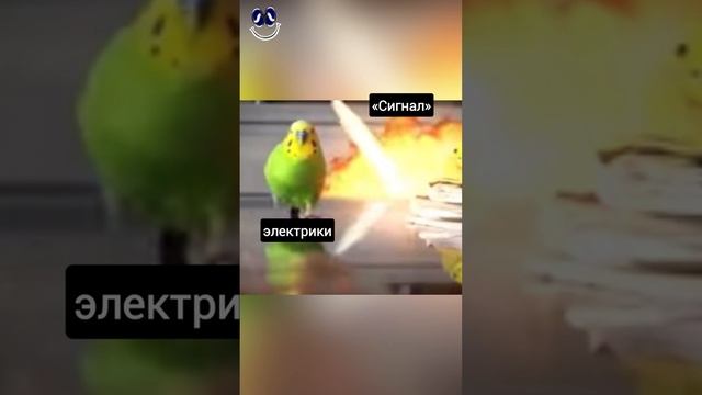 Проверка лампочек