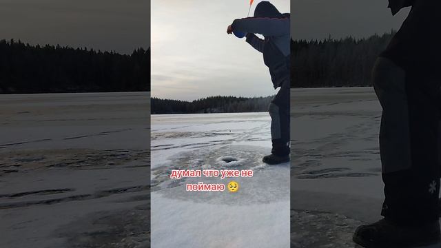 #рыбалка #рыбалкавкарелии#щука#жерлицы