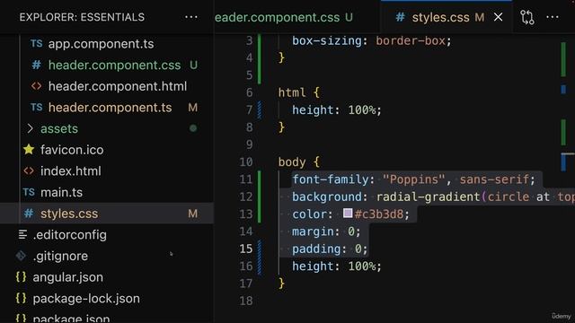 16. Styling the Header Component & Adding An Image