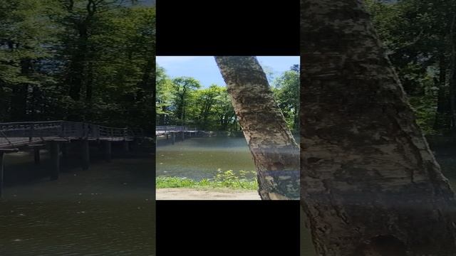 VID_20240522_103310.mp4