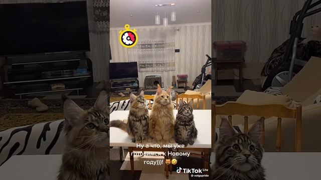 готовимся к встрече нового года 🎄