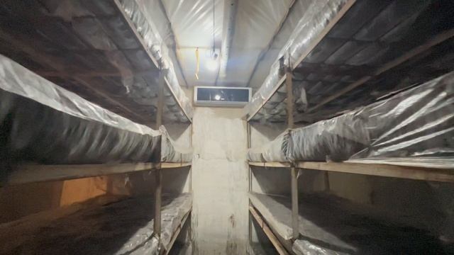 АЗЕРБАЙДЖАН. ГРИБНОЕ ПРОИЗВОДСТВО. БОЛЬШОЙ ВЫПУСК.