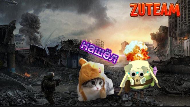 нашол всё котов в чикен гане