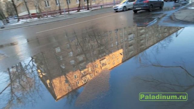 Моя "любимая" лужа!