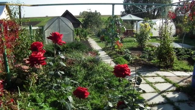 лето 2015_лазазей_DSCF2498 - YouTube [720p]