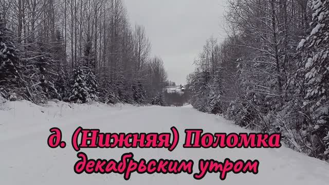 Деревня (Нижняя) Поломка декабрьским утром.mp4