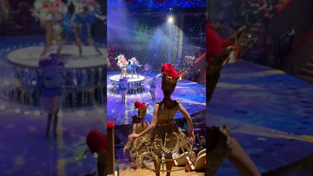 Цирк который дарит эмоции☺️