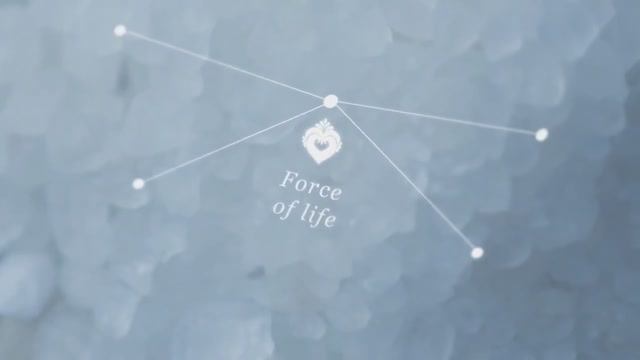 Мертвое Море #Доктор Нонна#Море#Dr.Nona#косметика