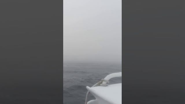 VID-202412

В ладоге