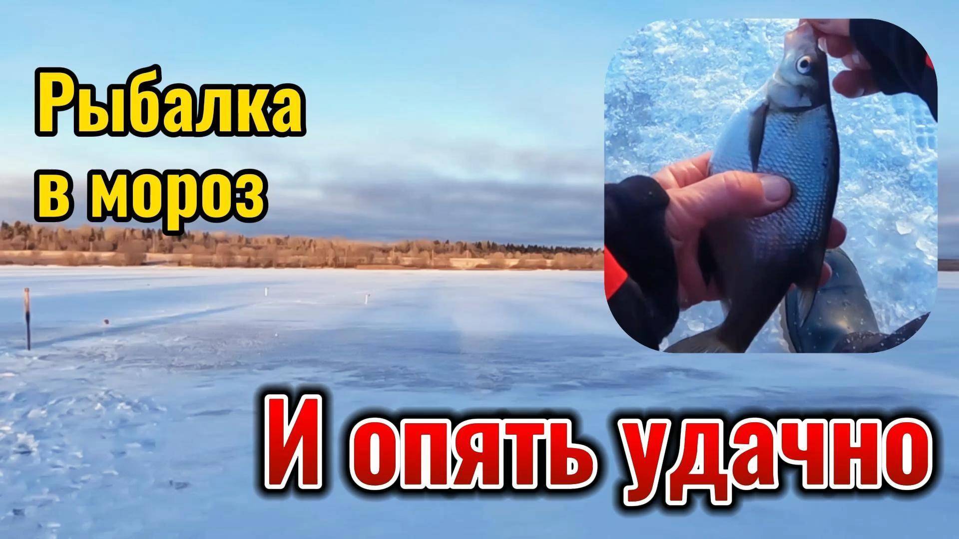 Рыбалка в мороз, клёв отличный. Поймала много рыбы.