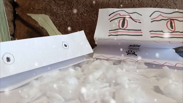 Снегоглатлон. Спецвыпуск