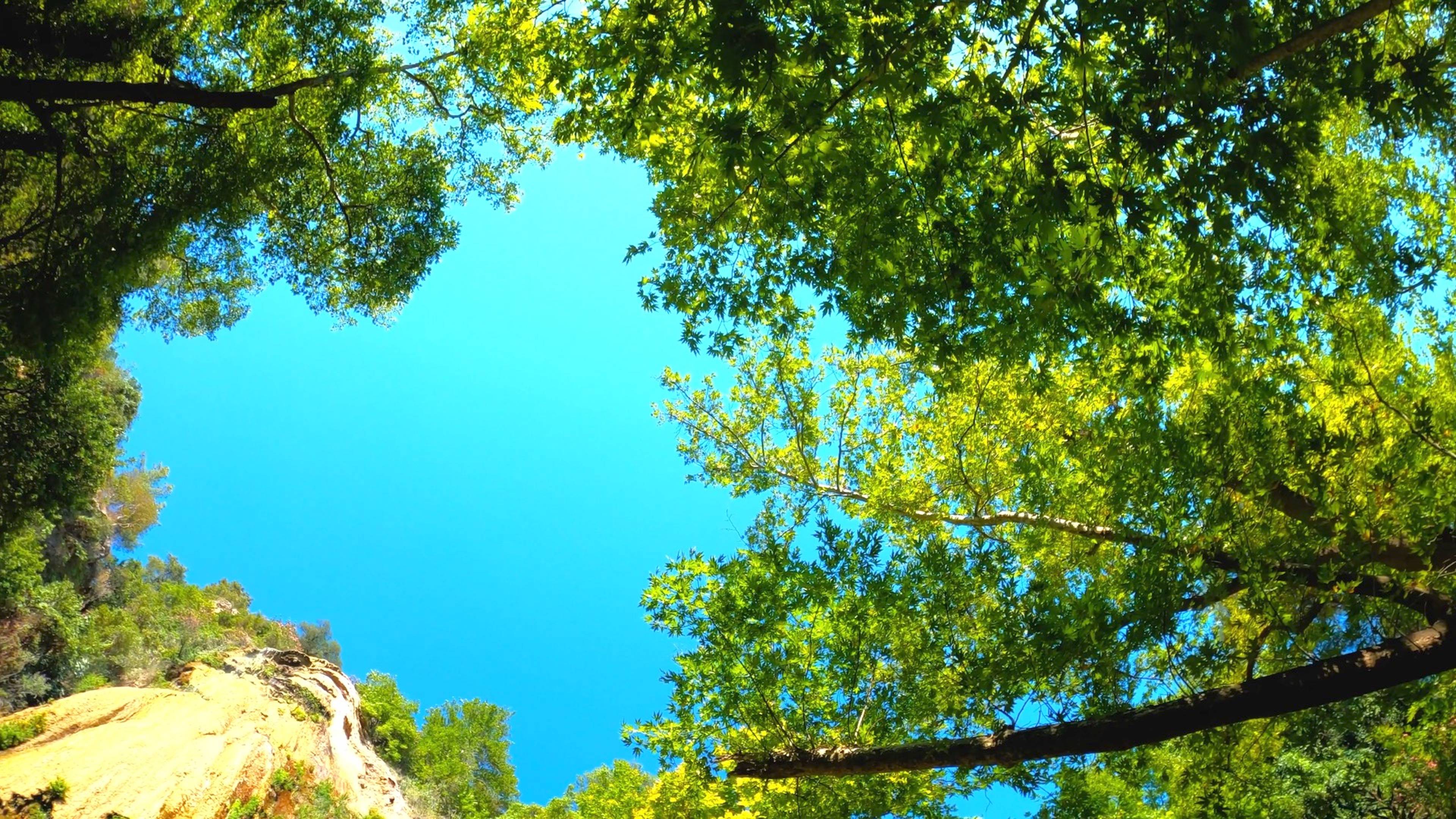 МУЗЫКА для ДУШИ - ЛЕТО - Красивая спокойная музыка для души, музыка лета