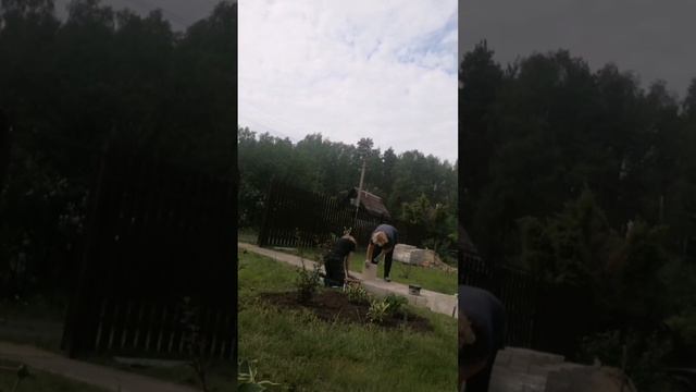 1й пункт плана выполнен или эпопея с дорожкой.