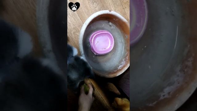 Зачем в воде мочалка?