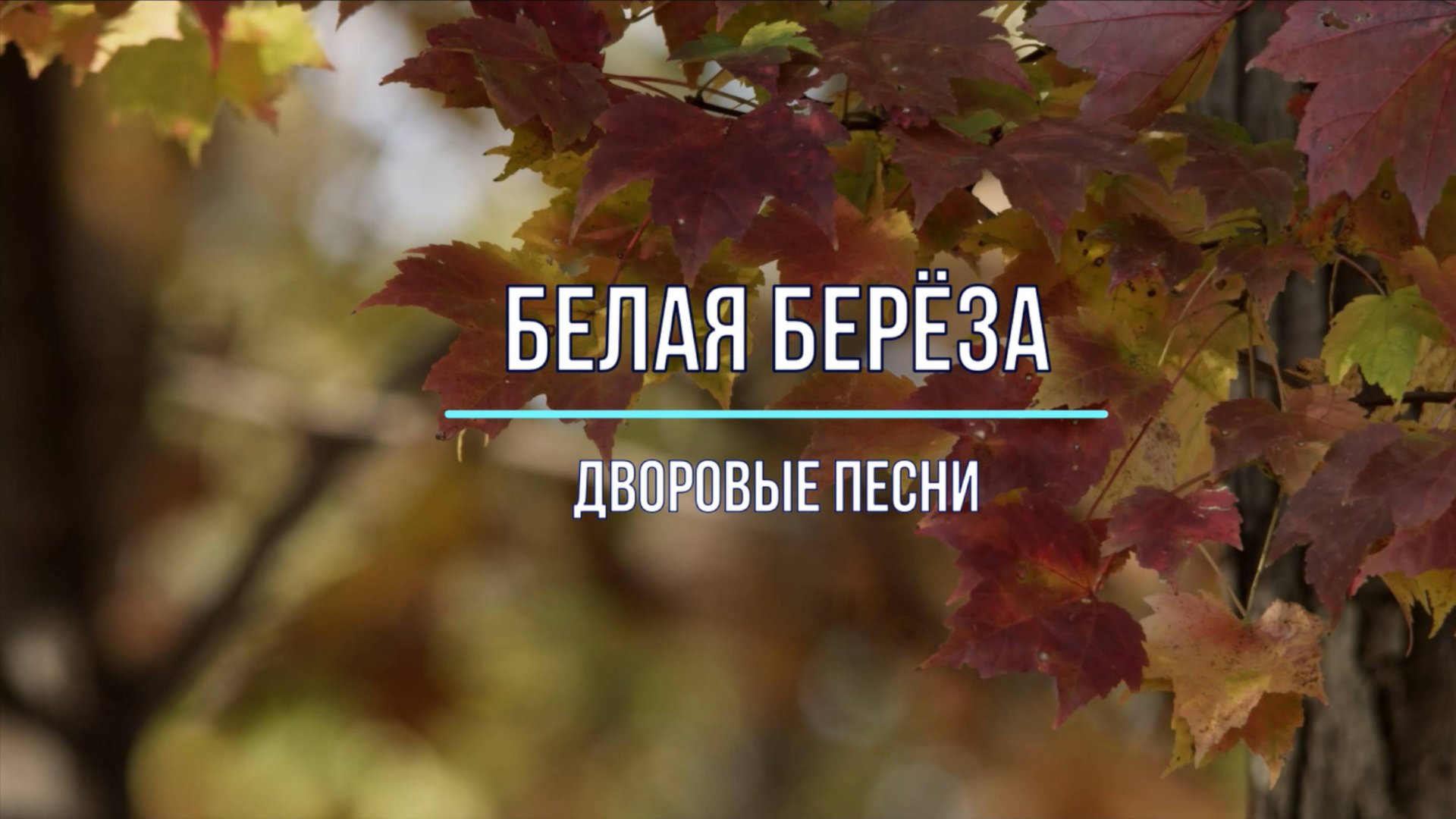 Белая береза-дворовые песни...реально караоке!!!