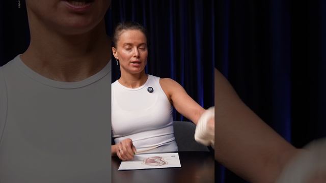 Эволюция тазового дна и его функции #утренняязарядка