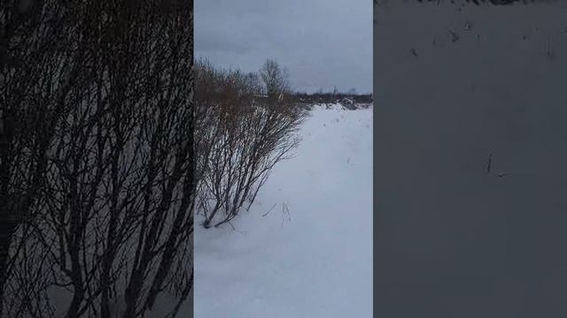 д. Лусось 50:18:0040316:725