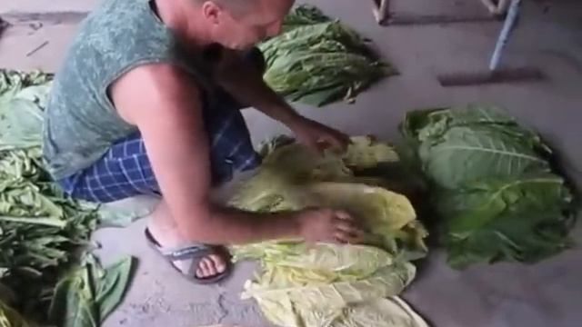 Томление табака.(tobacco yearning)