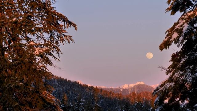 Лекция 14. Дама черв. Для 29 июля, 27 августа, 25 сентября, 23 октября, 21  ноября, 19 декабря.