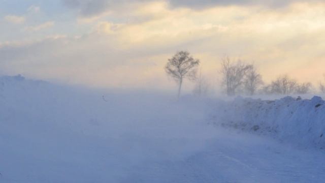 Степь сибирская
