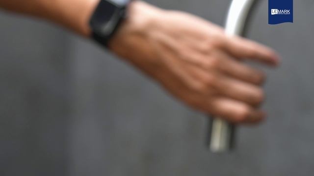 Смеситель  для кухни  с выдвижным поворотным изливом LEMARK EXPERT LM5063S