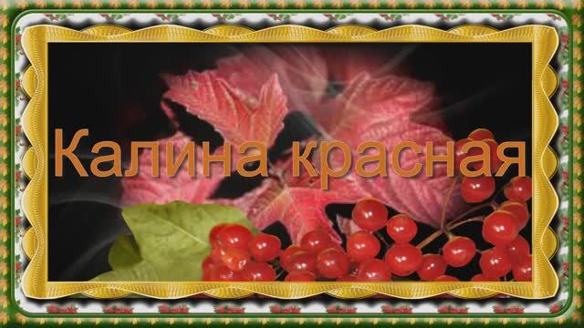Калина красная...Сергей Сухачёв