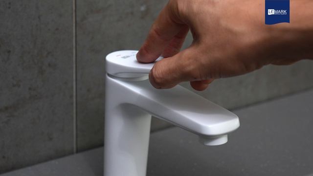 Смеситель Lemark Bronx LM3706MW для раковины монолитный