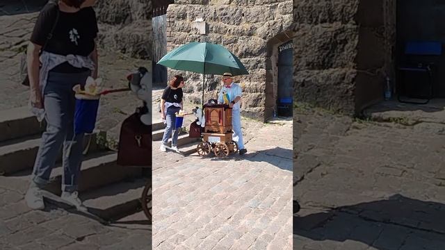 Ленинградская обл. г.Выборг Выборгский замок