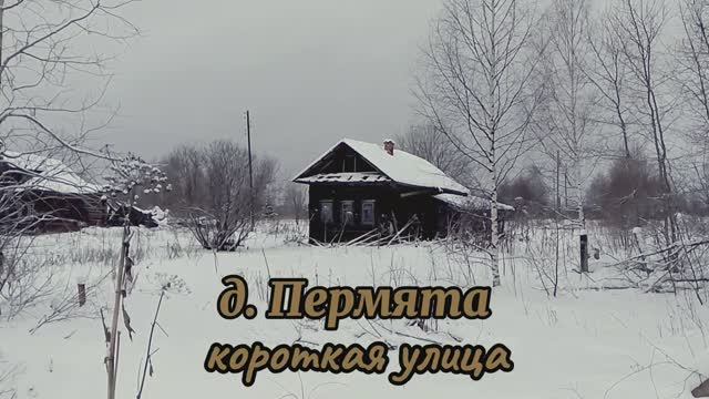 Деревня Пермята, короткая улица.mp4