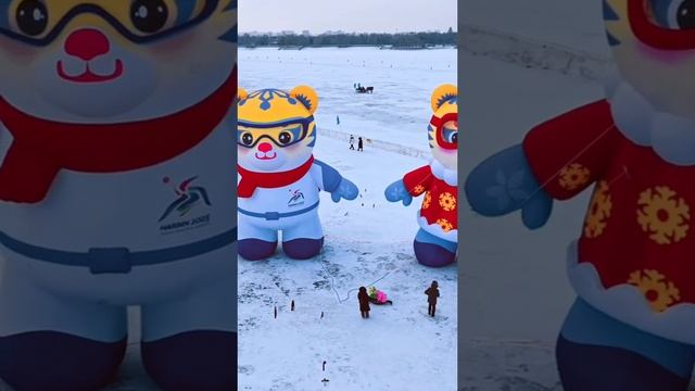 Биньбинь и Нини — очаровательные амурские тигрята, стали символами Зимних Азиатских игр 2025 🐯