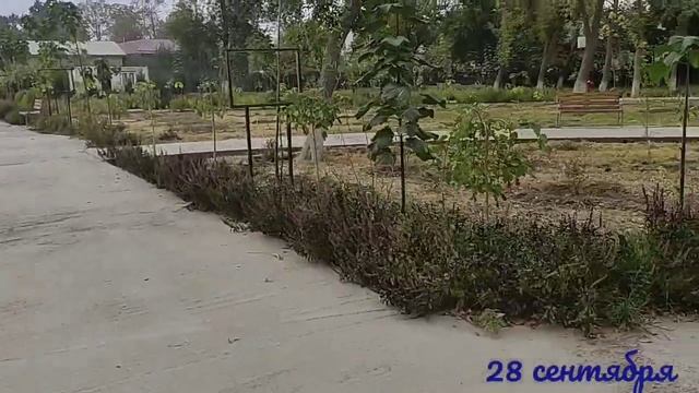 О парке "Строитель" .