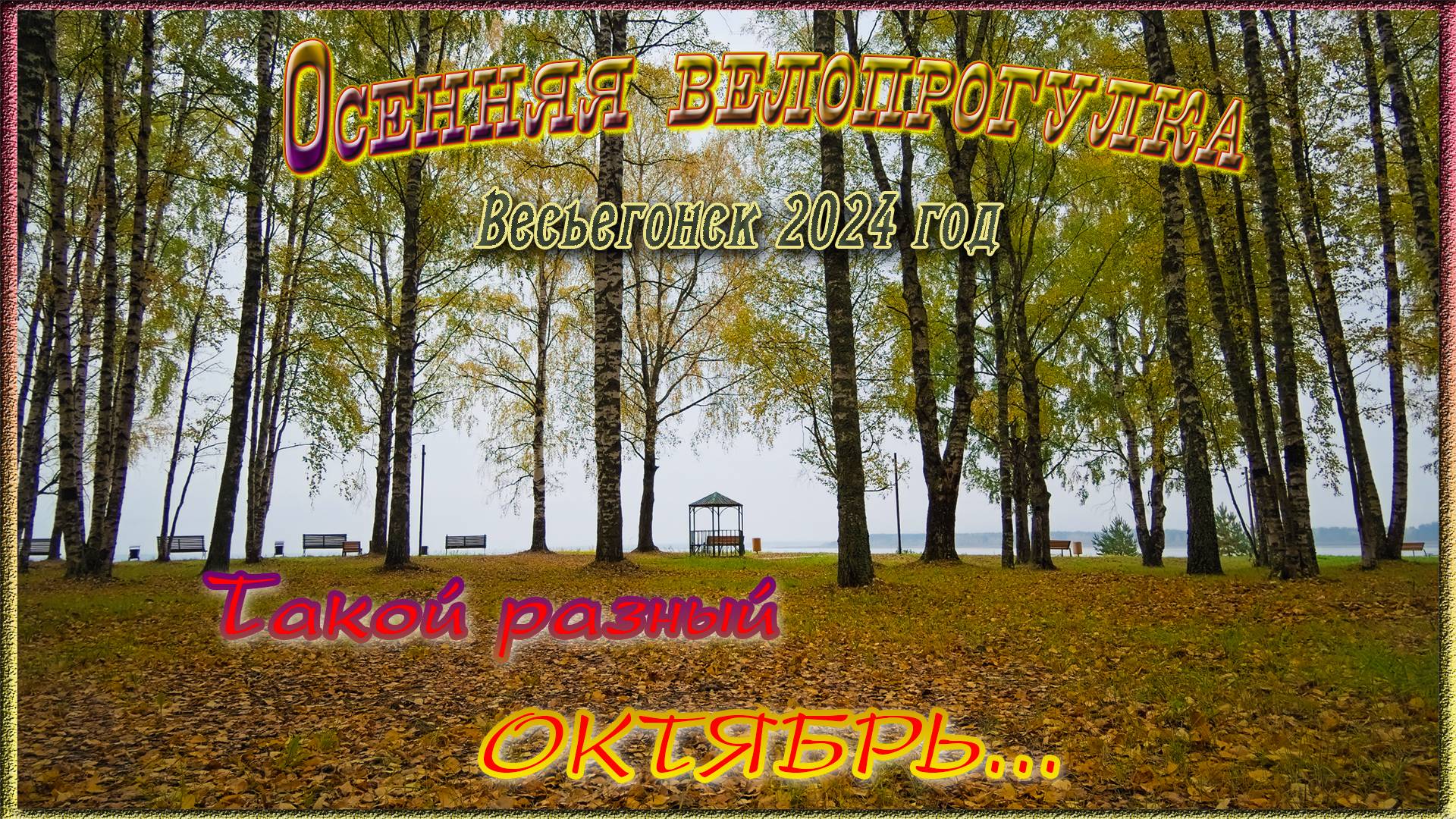 Весьегонск 2024. "Такой разный Октябрь..." Осенняя велопрогулка Деда Сергея и Бабушки Оли.