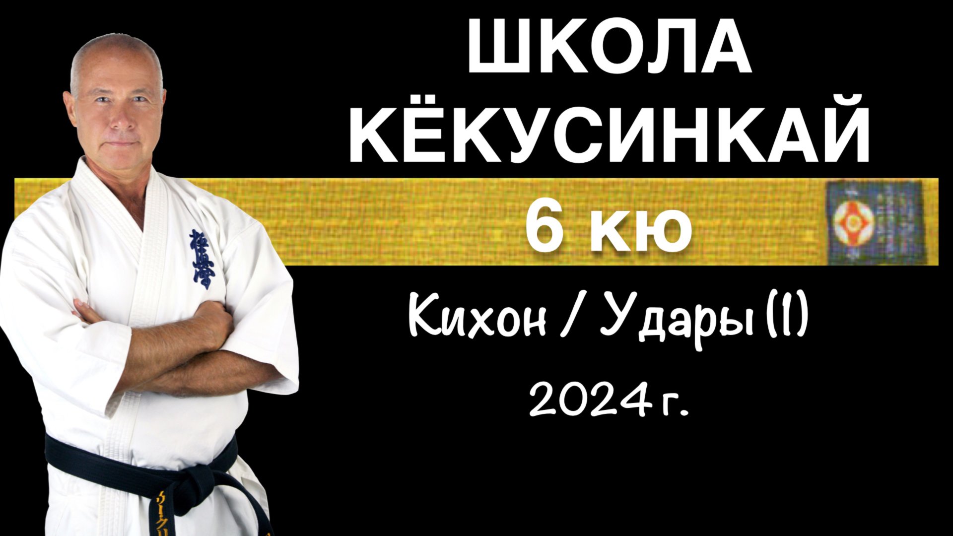 ШКОЛА КЁКУСИНКАЙ / Кихон на 6-й кю / Удары / 1-я часть (2024 г.)