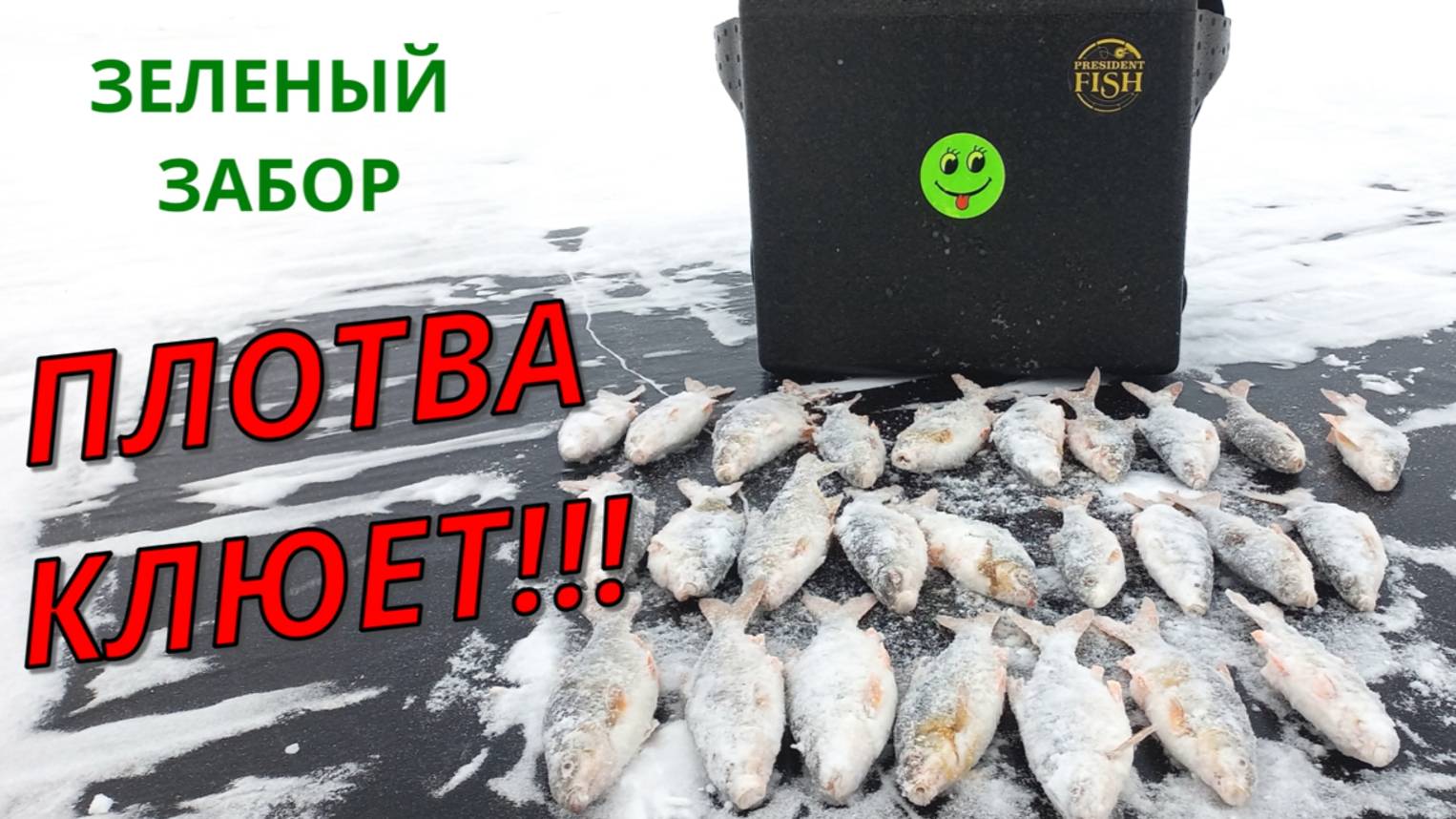 Плотва клюет!!! Зеленый забор 16 декабря 2024 года.